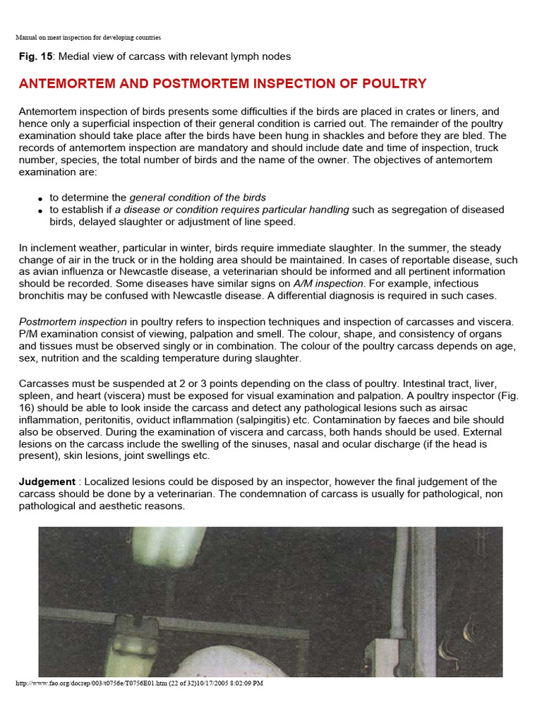 Antemortem and Postmortem Inspection of Poultry 2 | PDF | Poultry | Clinical Medicine