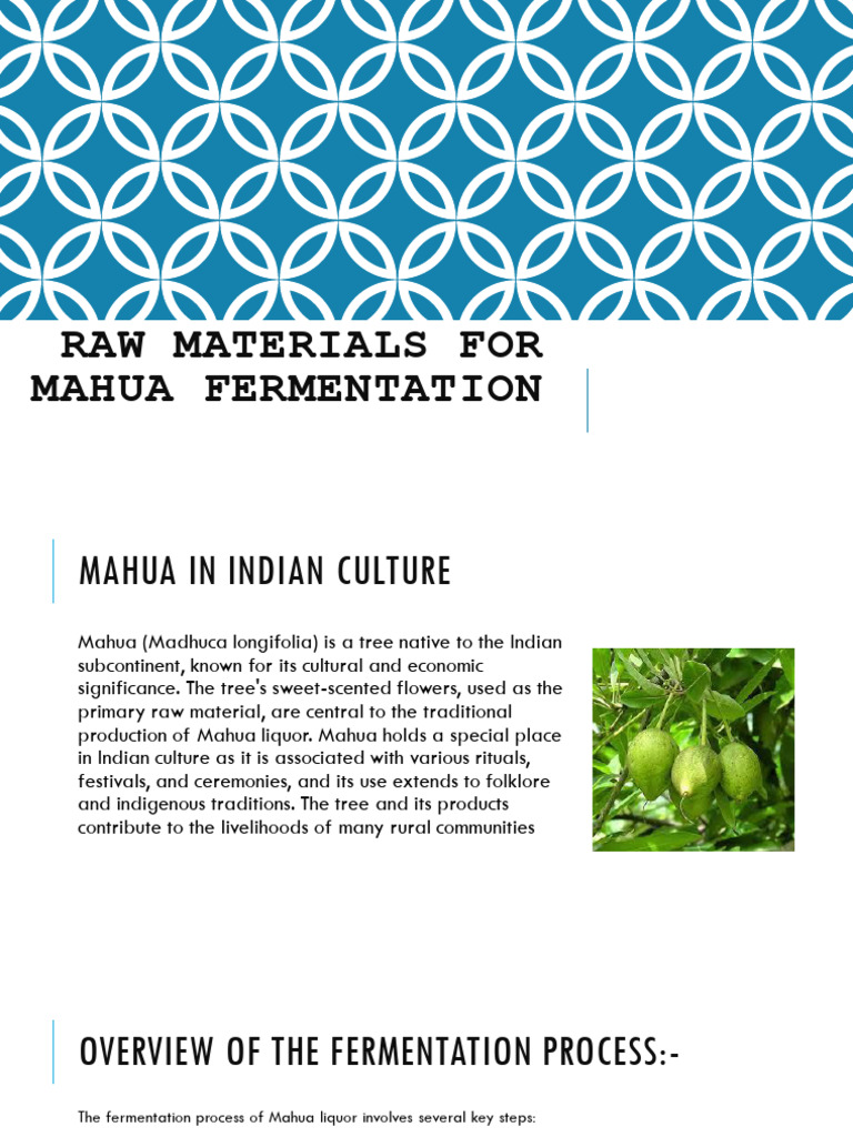 Mahua Fermentation Raw Materials Guide | PDF | Fermentation | Yeast