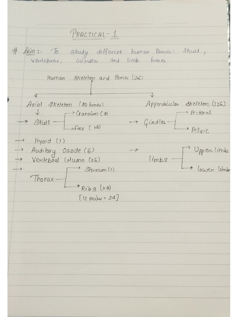 Zoology Practical | PDF