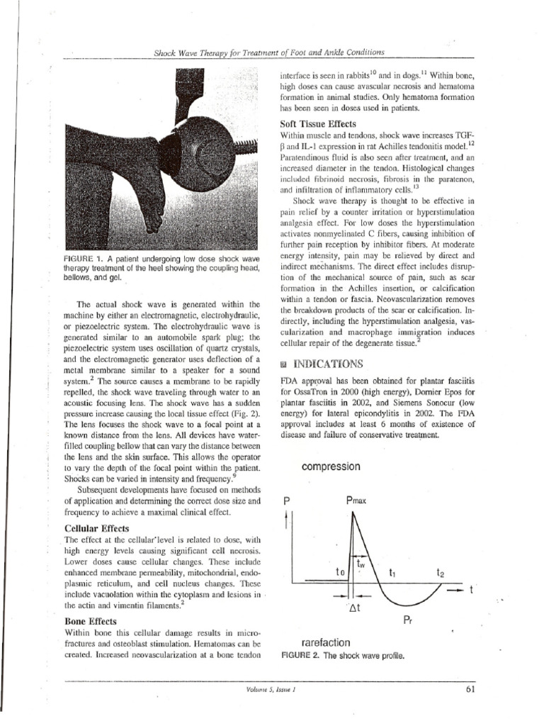 Split 2677345788453150360 | PDF | Tendon | Pain
