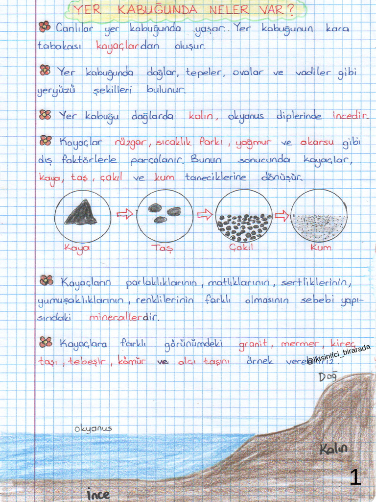 4 Sinif Fen Bilimleri Defter Ozeti Tamami | PDF