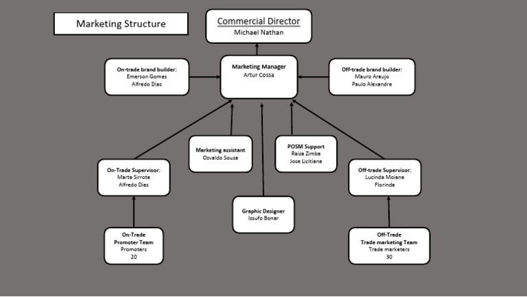 Marketing Structure Setember 2024 | PDF