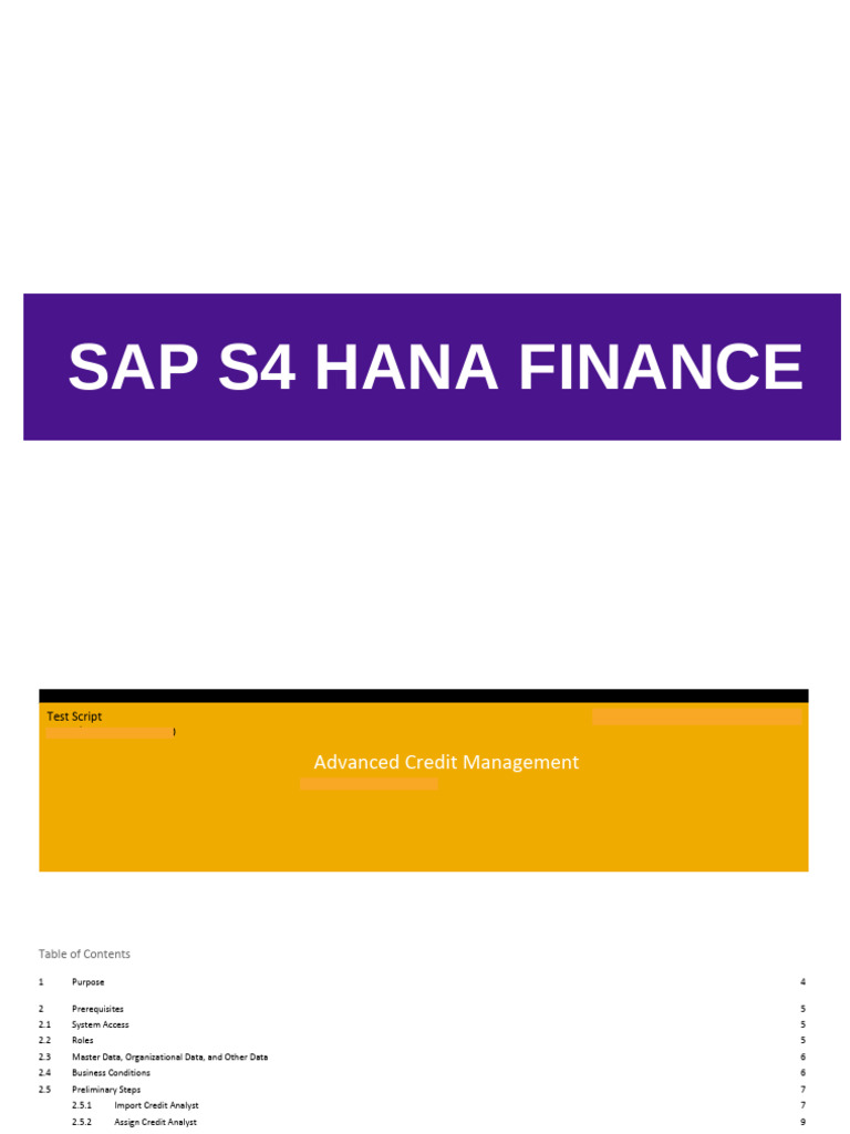 Sap S4 Hana Finance 1 | PDF | Credit | Finance & Money Management