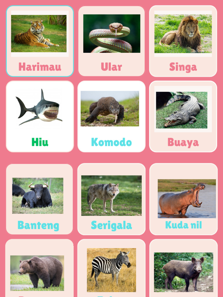 Kartu Pengingat Nama-Nama Hewan Dalam Warna Krem Dan Merah Muda ...
