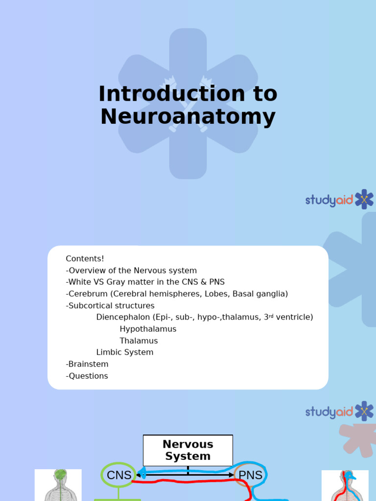 Introduction to neuroanatomy | PDF | Central Nervous System | Brainstem