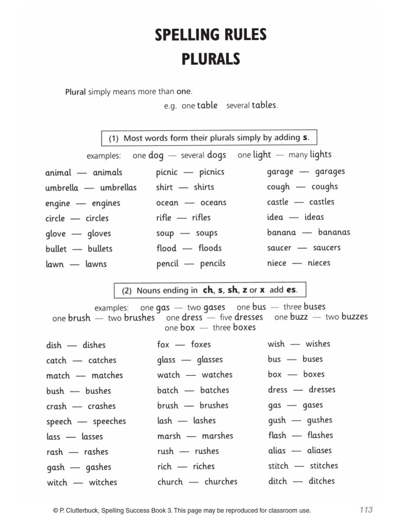 Spelling Rules Plurals Upper | PDF