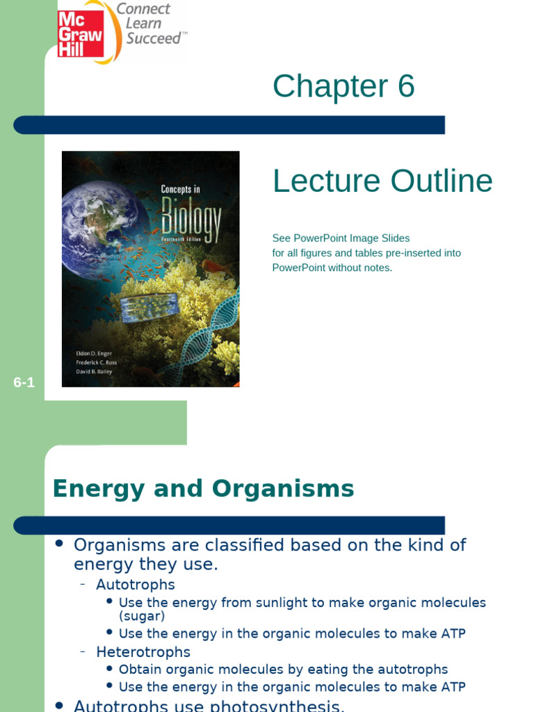 Chapt06 - Cellular Respiration (Bio 200) | PDF | Cellular Respiration | Adenosine Triphosphate