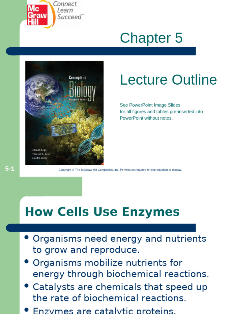 chapt05_ Biochemical Pathways | PDF | Enzyme | Enzyme Inhibitor