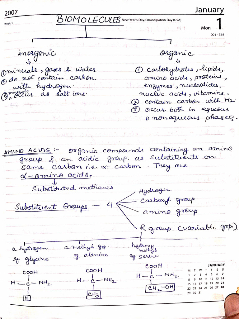 Biomolecules | PDF
