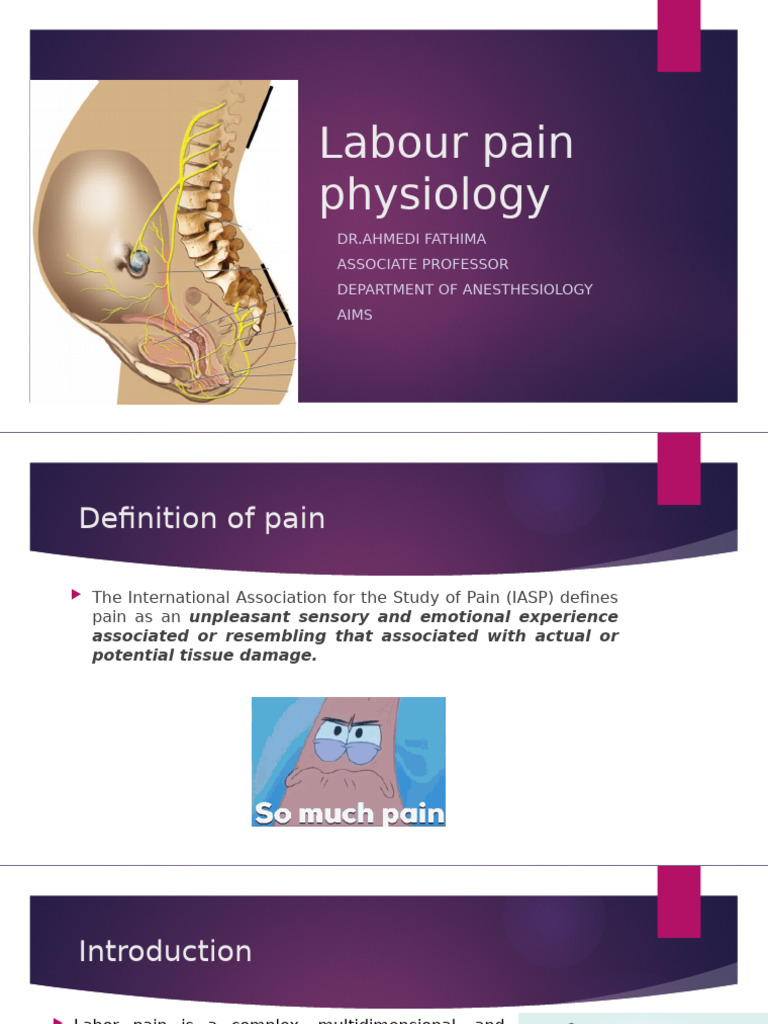 Labour Pain Physiology - 111845 | PDF | Pain | Vertebra