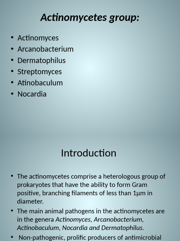 Actinomyces group | PDF | Bacteria | Gram Positive Bacteria