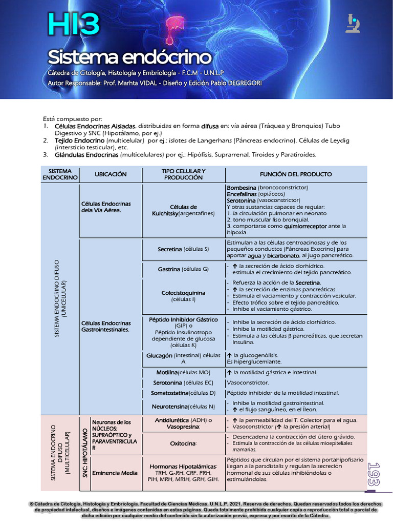 h13 - Sistema Endocrino 2021 193-210 Web | PDF | Glándula pituitaria | Hormona luteinizante