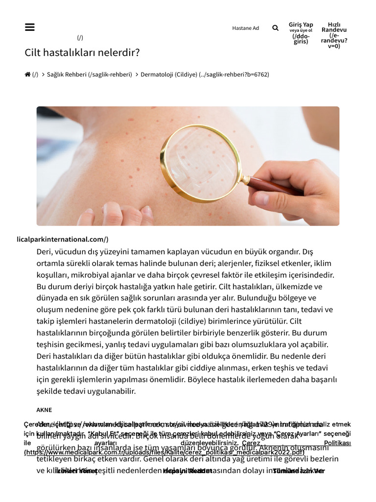 Cilt Hastalıkları Nelerdir | PDF