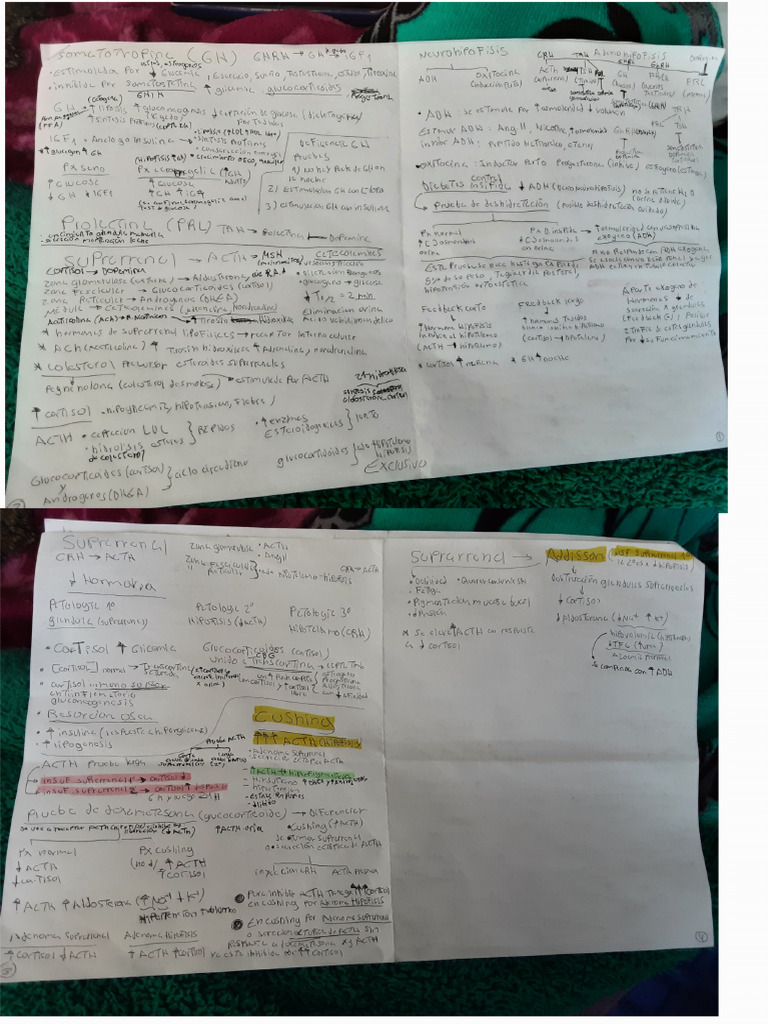 Resumen Bioq Clinica | PDF