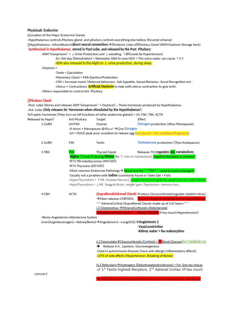 Physiolab Endocrine Pdf Adrenal Gland Hypothalamus