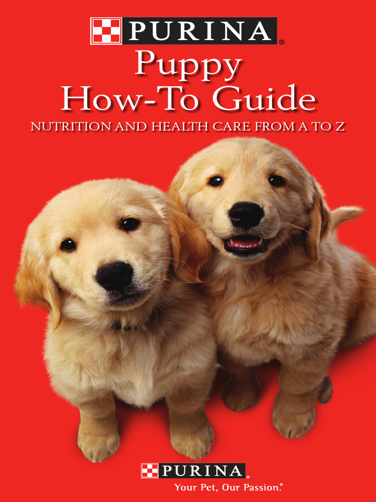 Puppy_Care_Guide | PDF | Neutering | Physical Examination