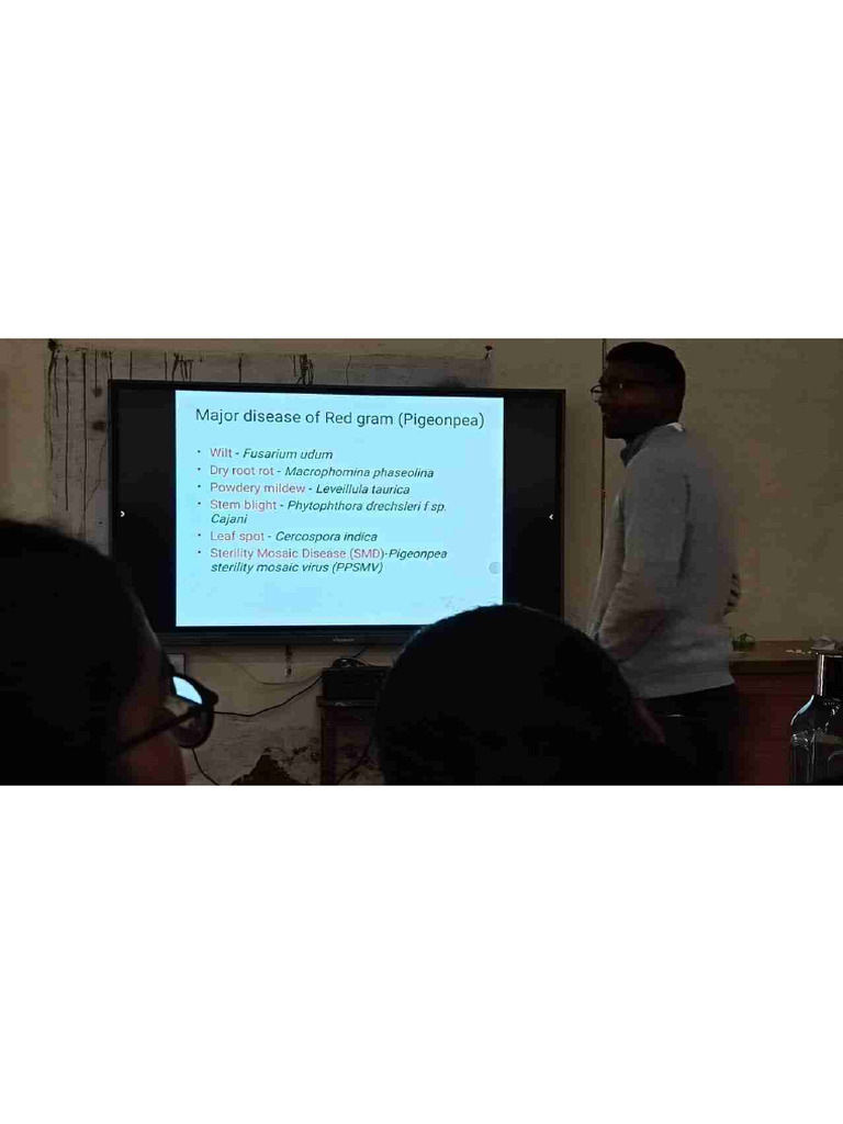 Disease of RED GRAM BY AA | PDF