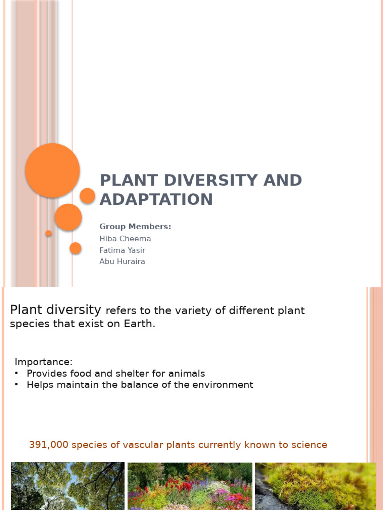 Plant Evolution and Adaptations | PDF | Plants | Leaf