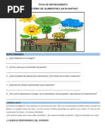 4to GRADO CIENCIAS NATURALES 29-05-2020355 | PDF | Fotosíntesis ...