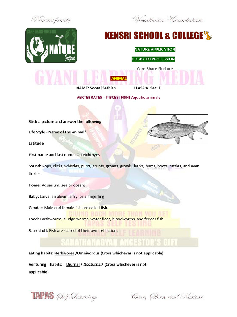 Class 5 - Animal - Fish - Application Sheet - Sooraj Sathish | PDF | Fish | Beetle