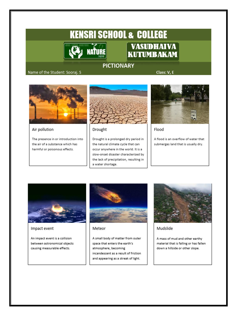 Nature Pictionary - Sooraj Sathish | PDF