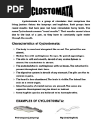 Axolotl Taxonomy | PDF