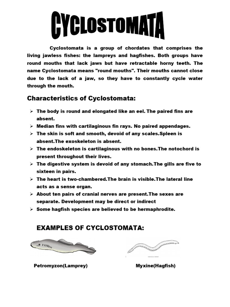 Cyclostomata vs Chondrichthyes Overview | PDF | Fish | Amphibian