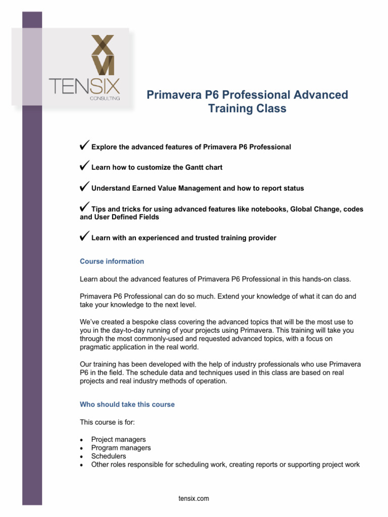 Primavera P6 Professional Advanced Training | PDF | Computing | Software