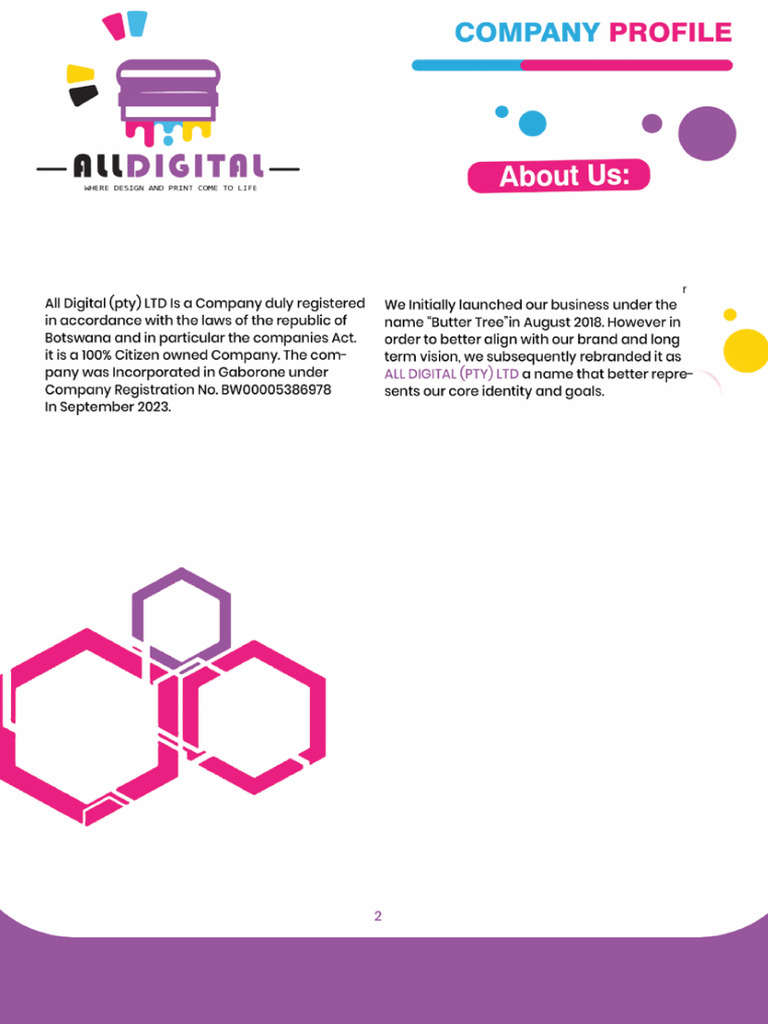 All Digital Profile 2024 3 | PDF