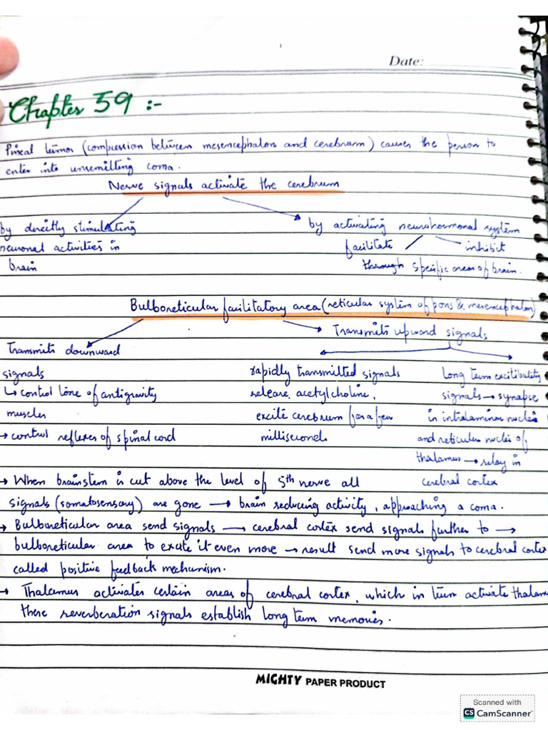 Chap 59 and 60 Neuroscience Notes | PDF