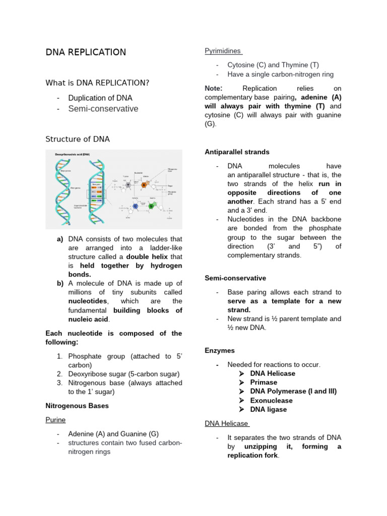 DNA-REPLICATION | PDF | Dna Replication | Dna