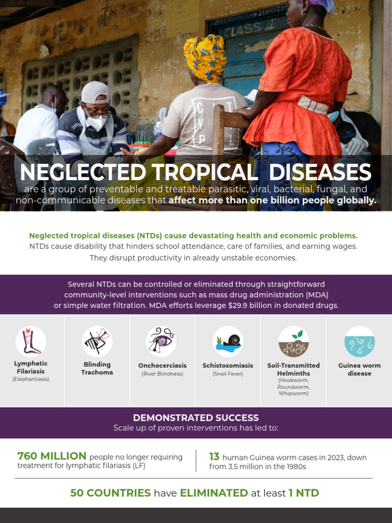 NTD_FactSheet_2024 | PDF | Medicine | Clinical Medicine