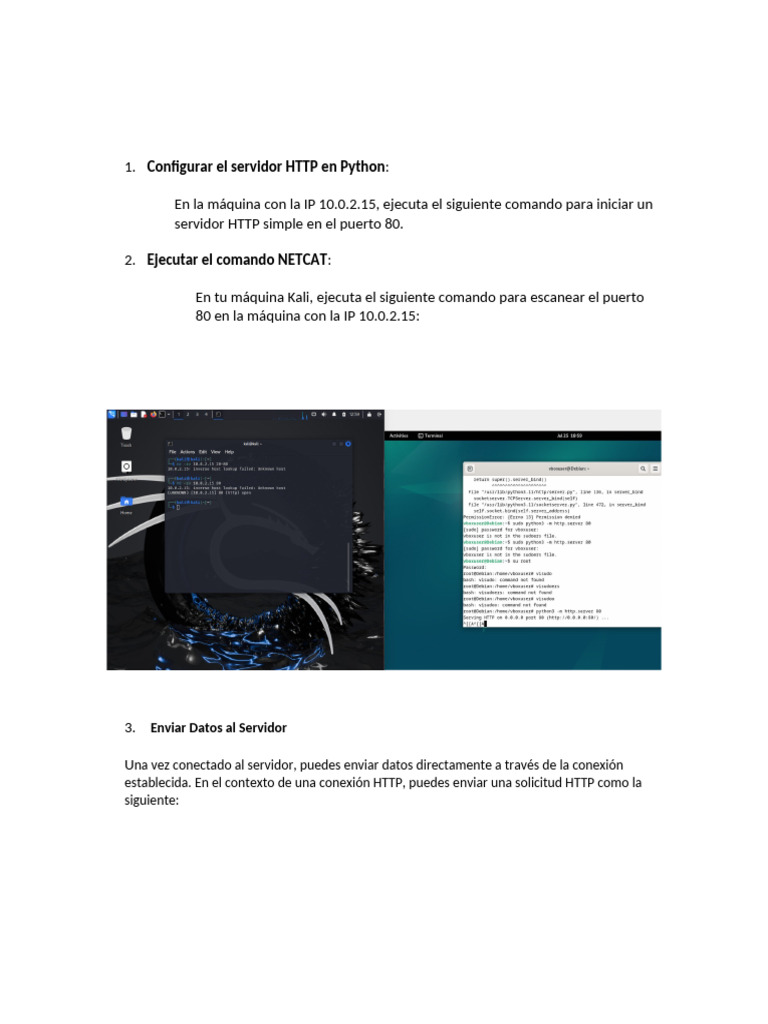 Práctica Netcat | PDF