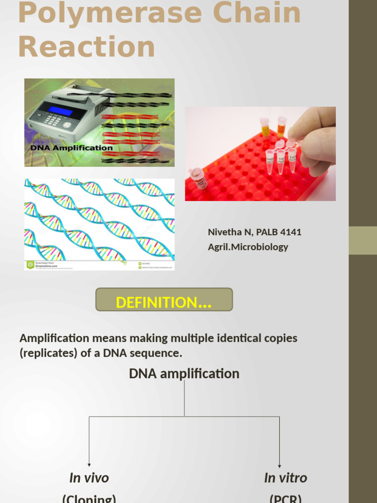 4. PCR | PDF | Polymerase Chain Reaction | Primer (Molecular Biology)