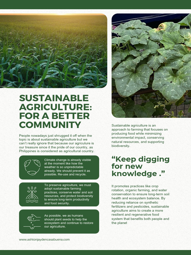 Casabuena Newsletter | PDF