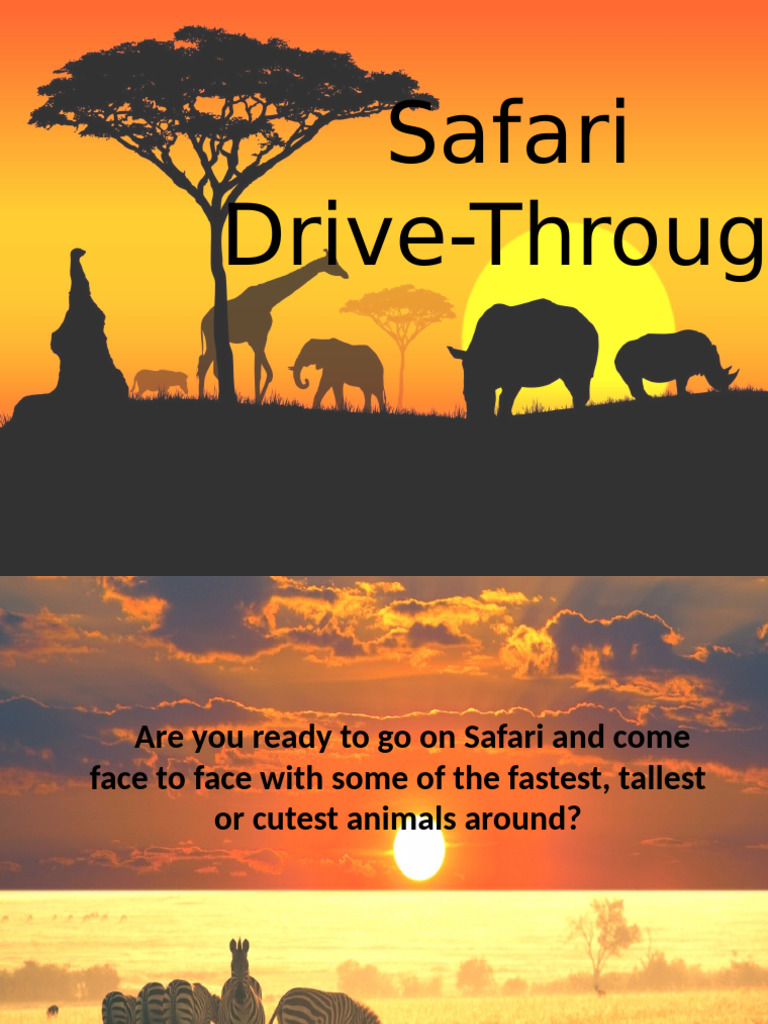 Safari Drive-Through | PDF | Lion | Zebra