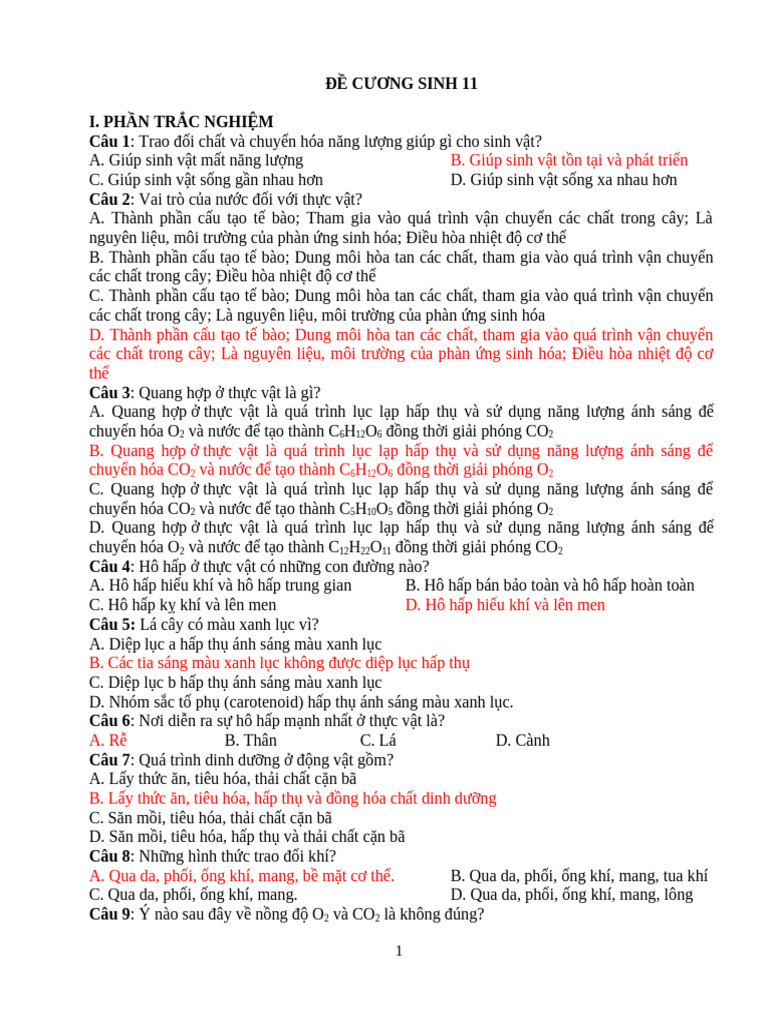 De Cuong HK1 Sinh 11 | PDF