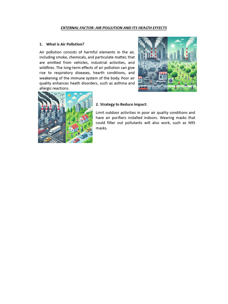 External Factors | PDF