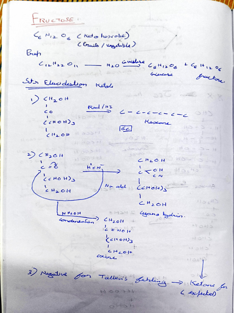 biomolecules class 12 | PDF