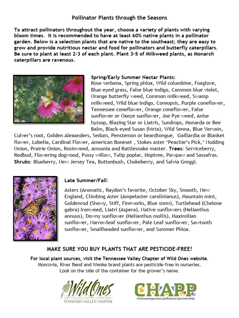 Pollinator Plants Through The Seasons | PDF | Plants | Botany