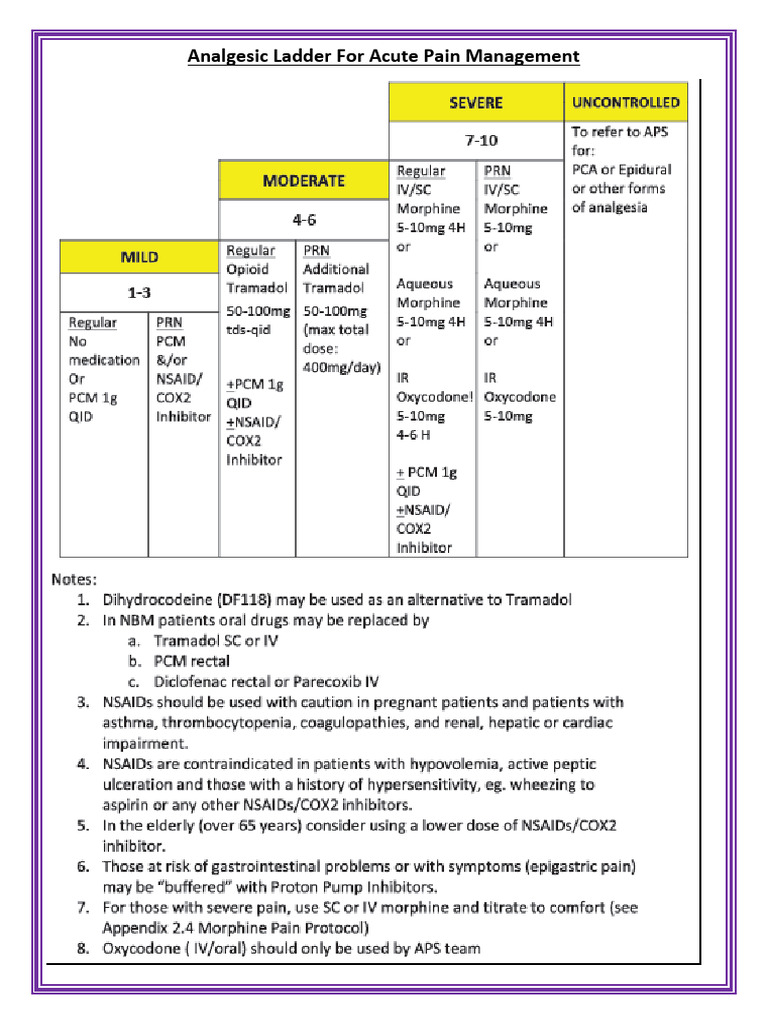 Adult Analgesic Ladder For Acute Pain Management | PDF