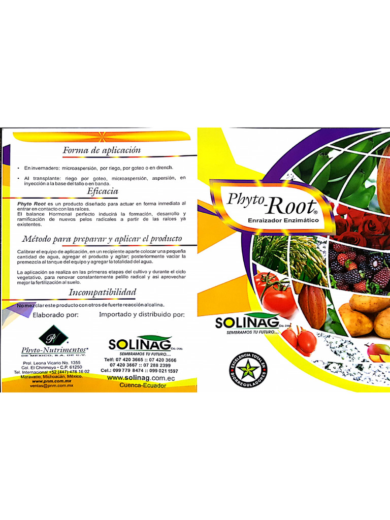 Phyto Root Nuevo | PDF