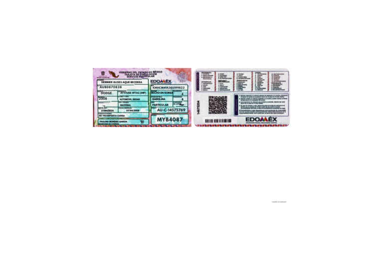 Tarjeta Circulacion Edomex PDF | PDF