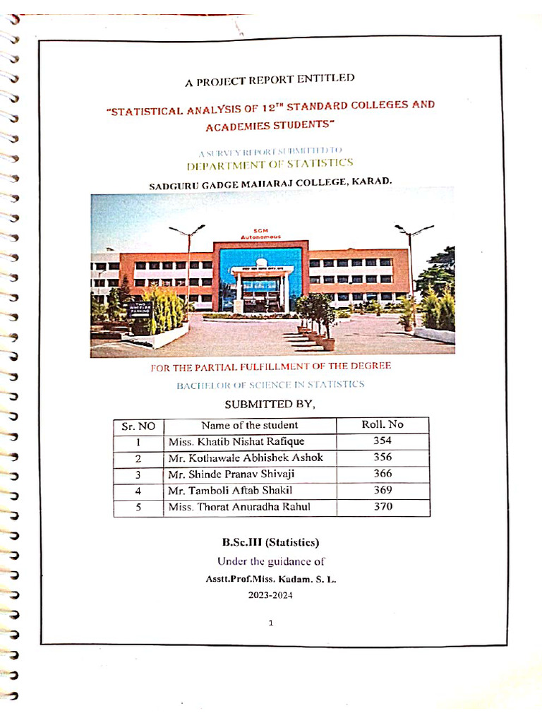 Statistics Project | PDF