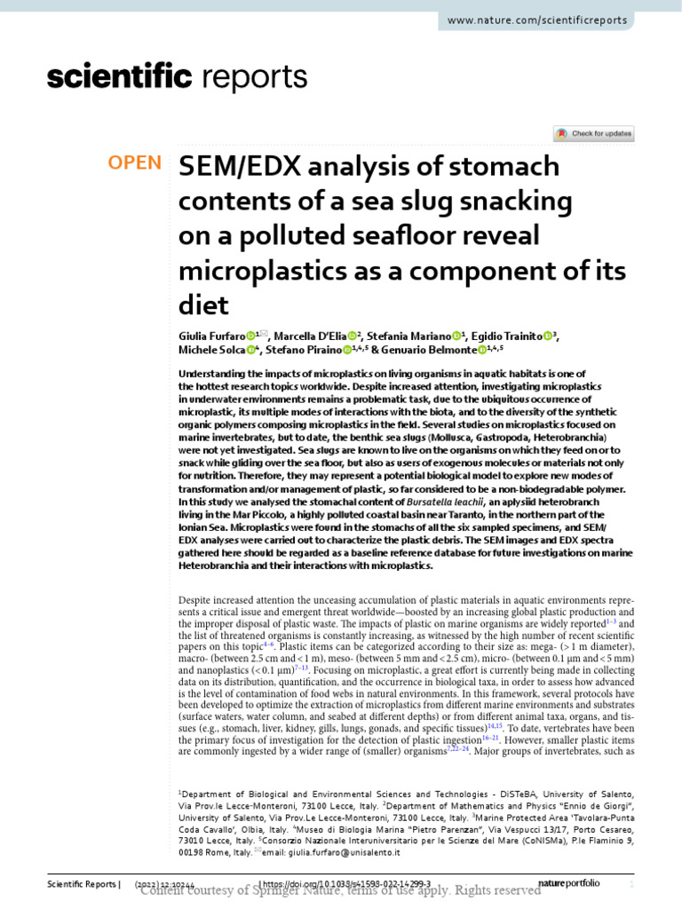 SEMEDX Analysis of Stomach Contents of a Sea Slug (1) | PDF | Sea | Plastic