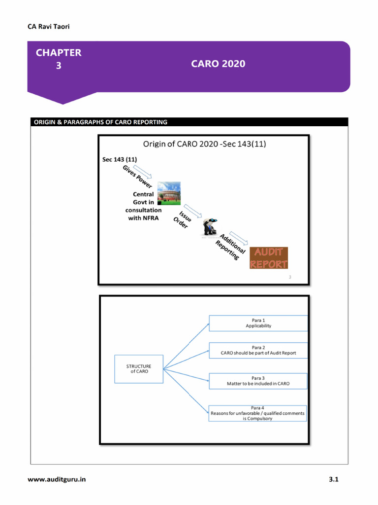 Chapter-3.0. CARO 2020 | PDF