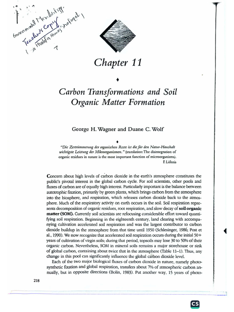 Chap Carbon Cycle | PDF