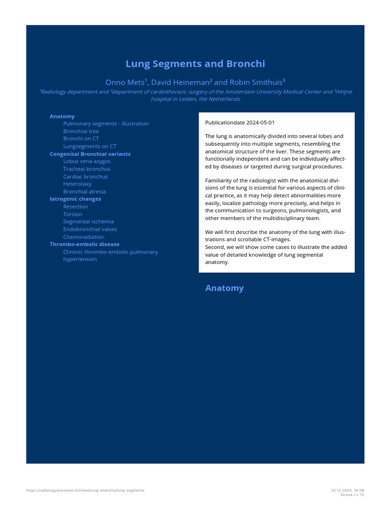 Lung Segments & Bronchi Anatomy Guide | PDF | Lung | Medical Specialties