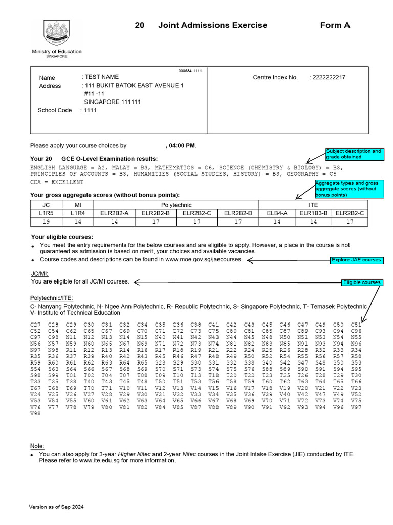 JAE Sample Form A | PDF