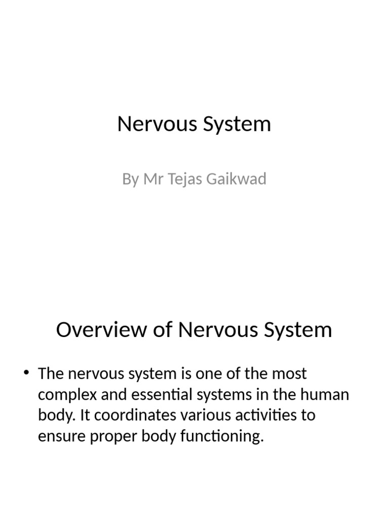 Nervous System Presentation | PDF